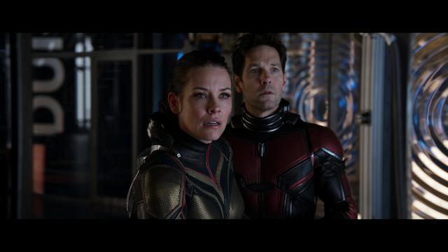 Ant-Man and the Wasp: The IMAX 2D Experience | Trailer & Showtimes