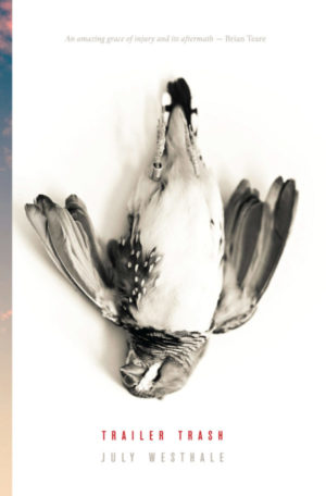 First time out: Debut poetry by Duy Doan, Chanda Feldman, July Westhale ...