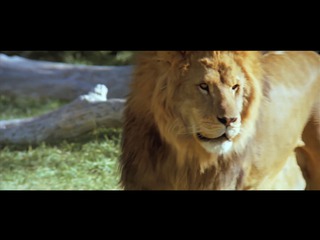 Roar | Trailer & Showtimes