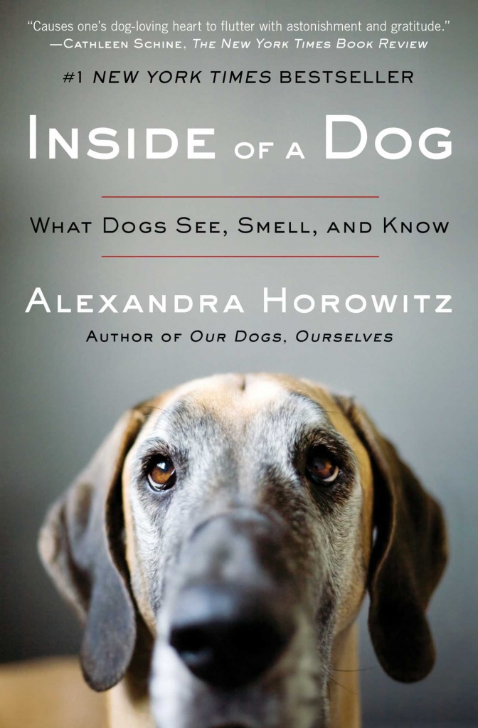 Poems and prose provide insight into our canine friends | Datebook