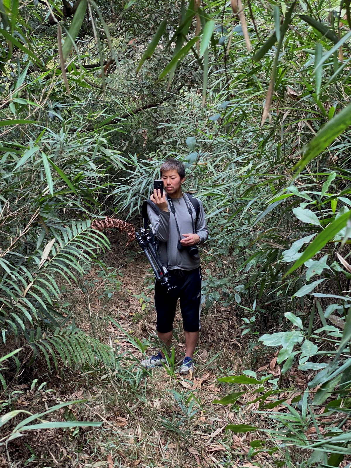 East Bay filmmaker Ralston Louie, 28, dies while swimming | Datebook
