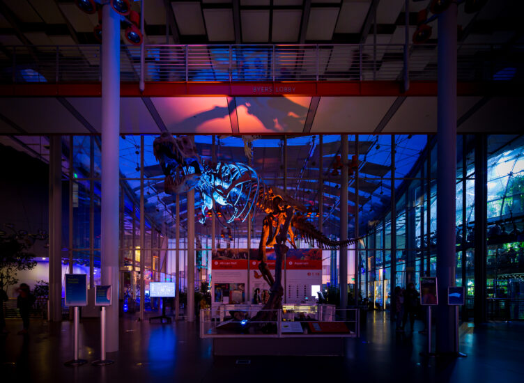 California Academy of Sciences to resume in-person NightLife after ...