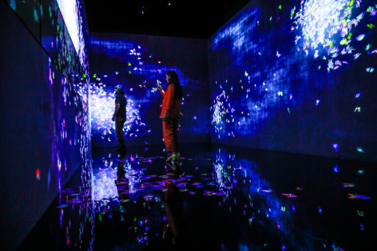 TeamLab's 'Continuity' at the Asian Art Museum is a uniquely immersive ...