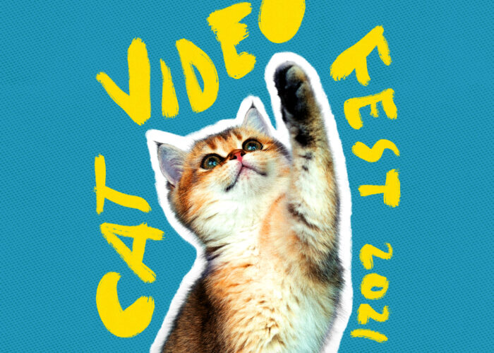 The 2021 CatVideoFest to bring peace and pleasure to S.F. audiences ...