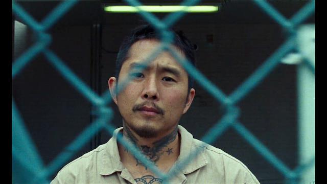 Blue Bayou | Trailer & Showtimes