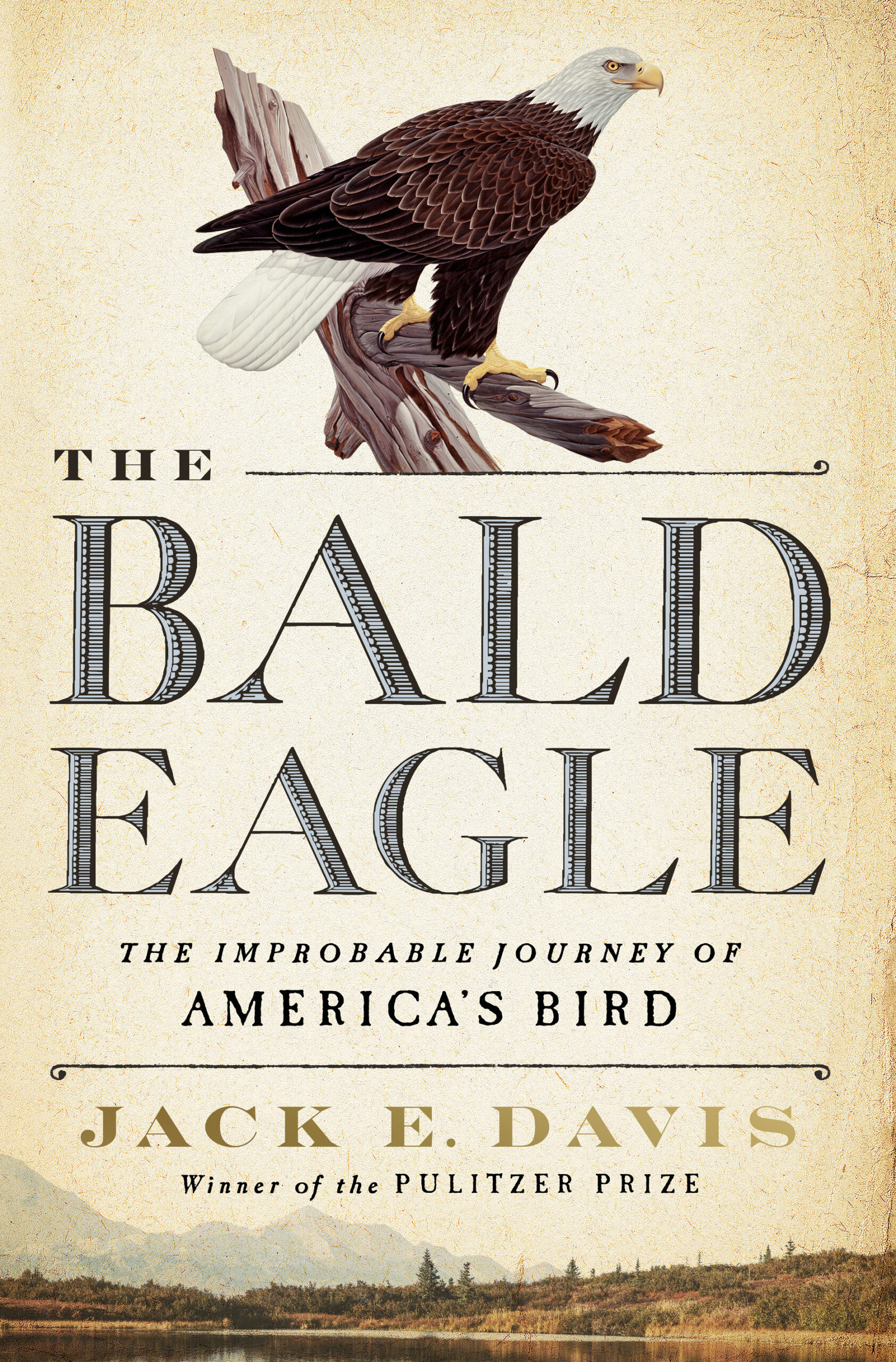 Review: 'The Bald Eagle' explores America's complicated history with its national bird | Datebook