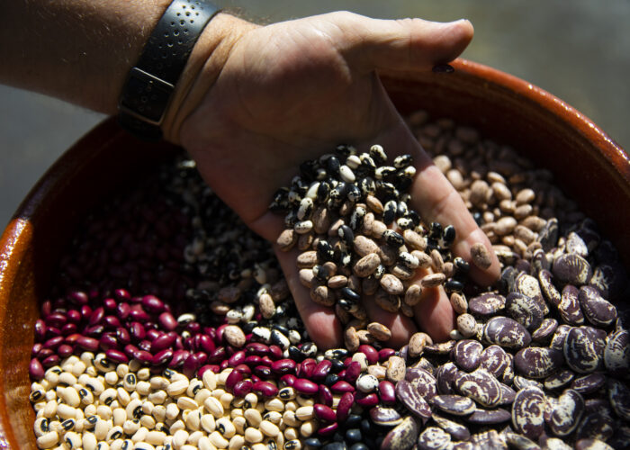 A delivery of Napa beans helps ease the daily grind | Datebook