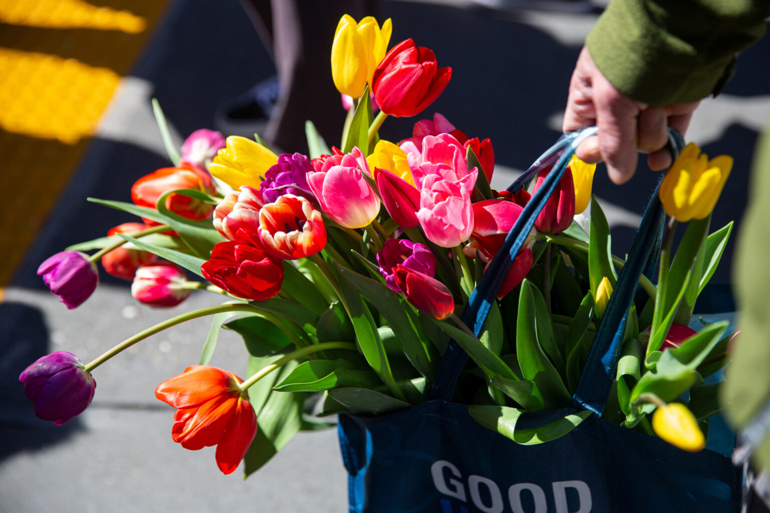 Spring 2022: Garden festivals, outdoor music and more events to enjoy ...