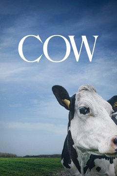 Cow | Trailer & Showtimes