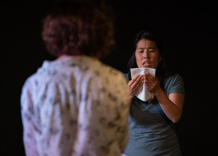 Learning to grieve the last two years with Sarah Ruhl's and Theatre ...