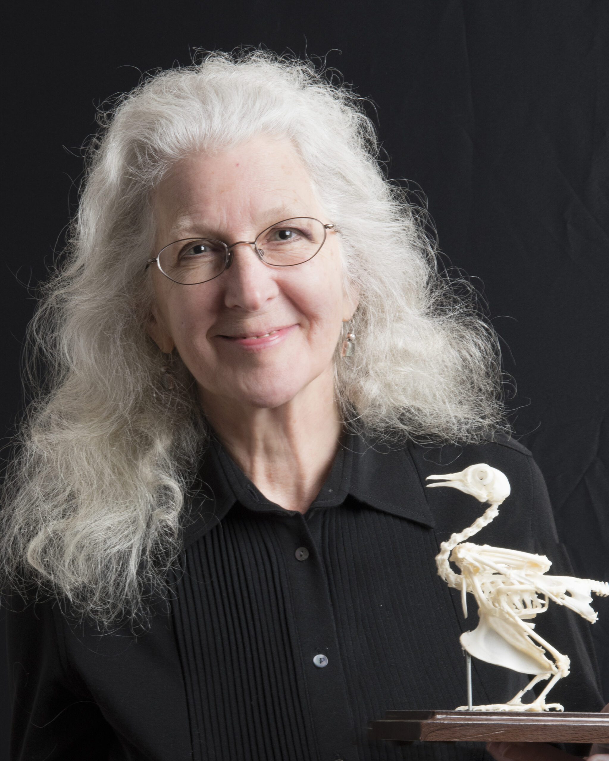 Review: Andrea Barrett takes an exquisite dive into familiar characters ...