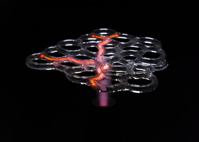 “First Light: Rituals of Glass and Neon Art” illuminates CJM | Datebook ...