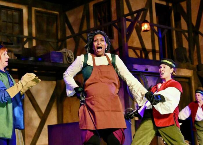 Review: This ‘Comedy of Errors’ is undermined by actual errors | Datebook