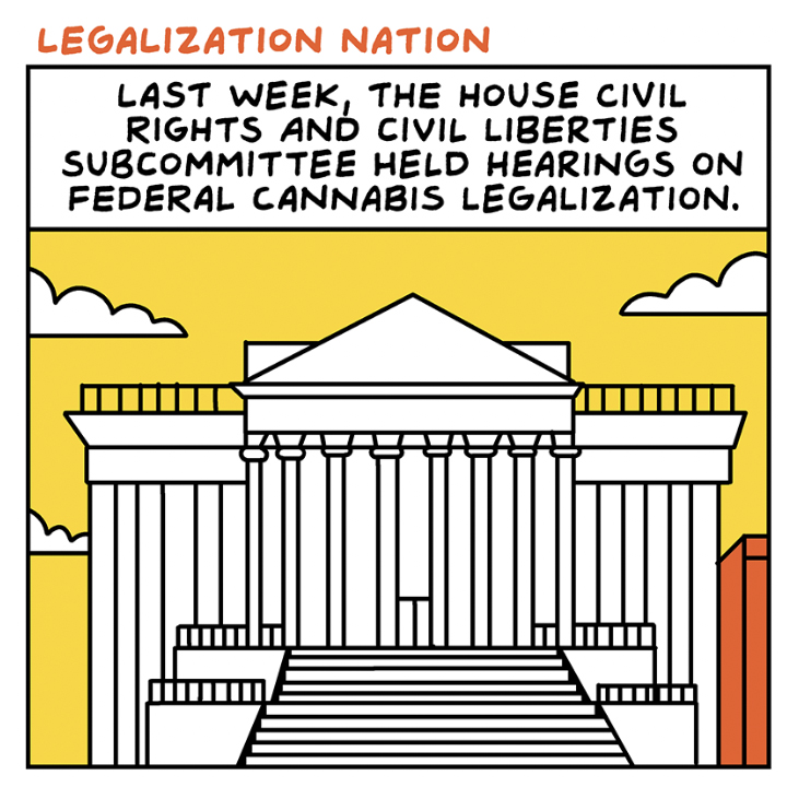 Legalization Nation: The federal cannabis legalization hearing ...