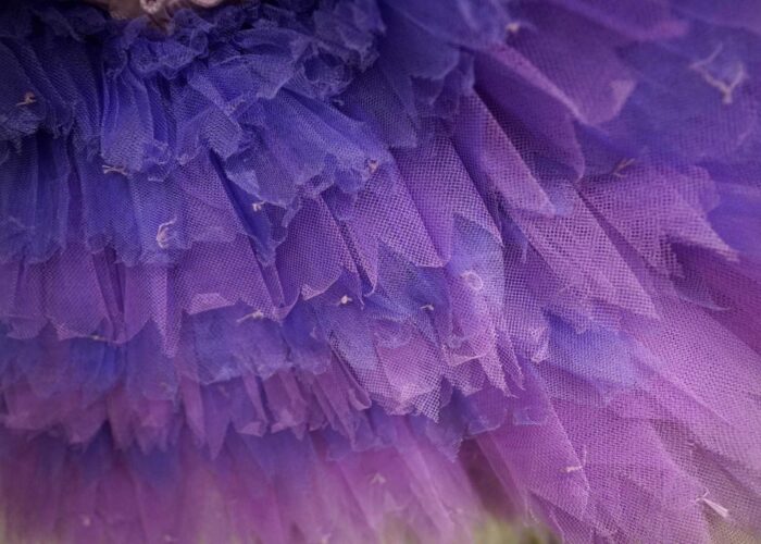 What's behind the tutu?: An anatomy of the costume as seen through ...