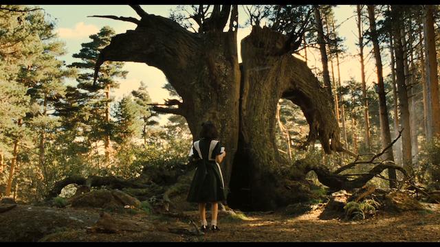 Pan's Labyrinth | Trailer & Showtimes