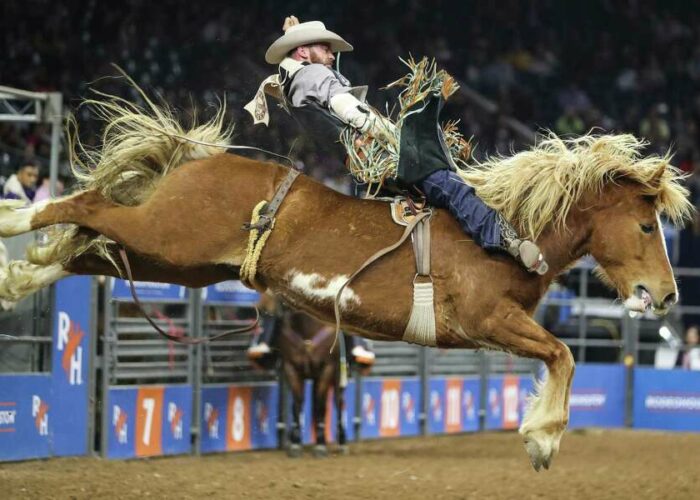 RodeoHouston 2023 season tickets go on sale | Datebook