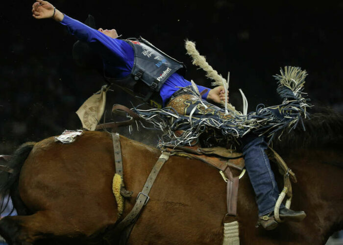 Howdy! Welcome to the 2023 Houston Livestock Show and Rodeo | Datebook