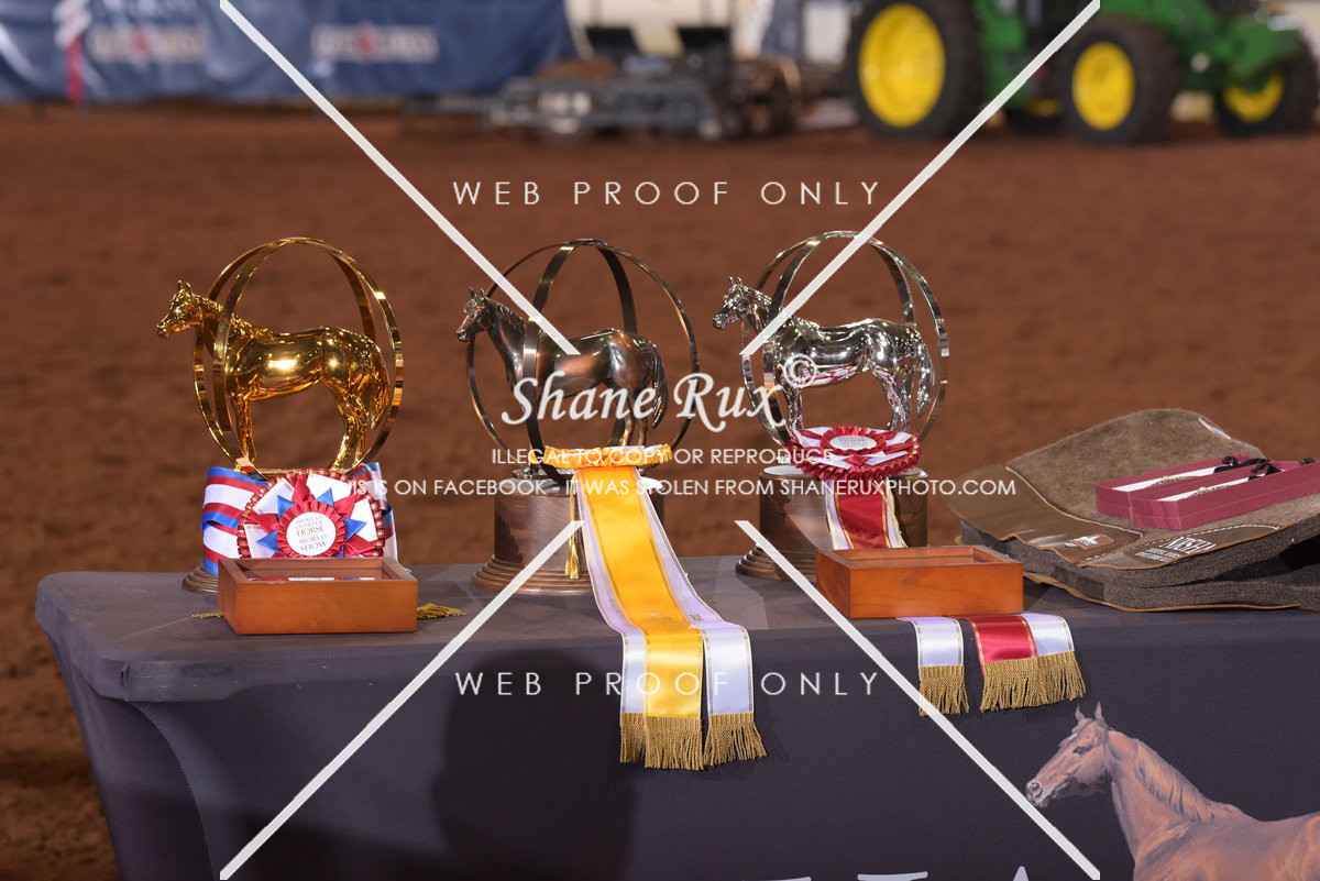 AQHA Ranch Horse Championships 2019 - Proofs - http://www.shaneruxphoto.com