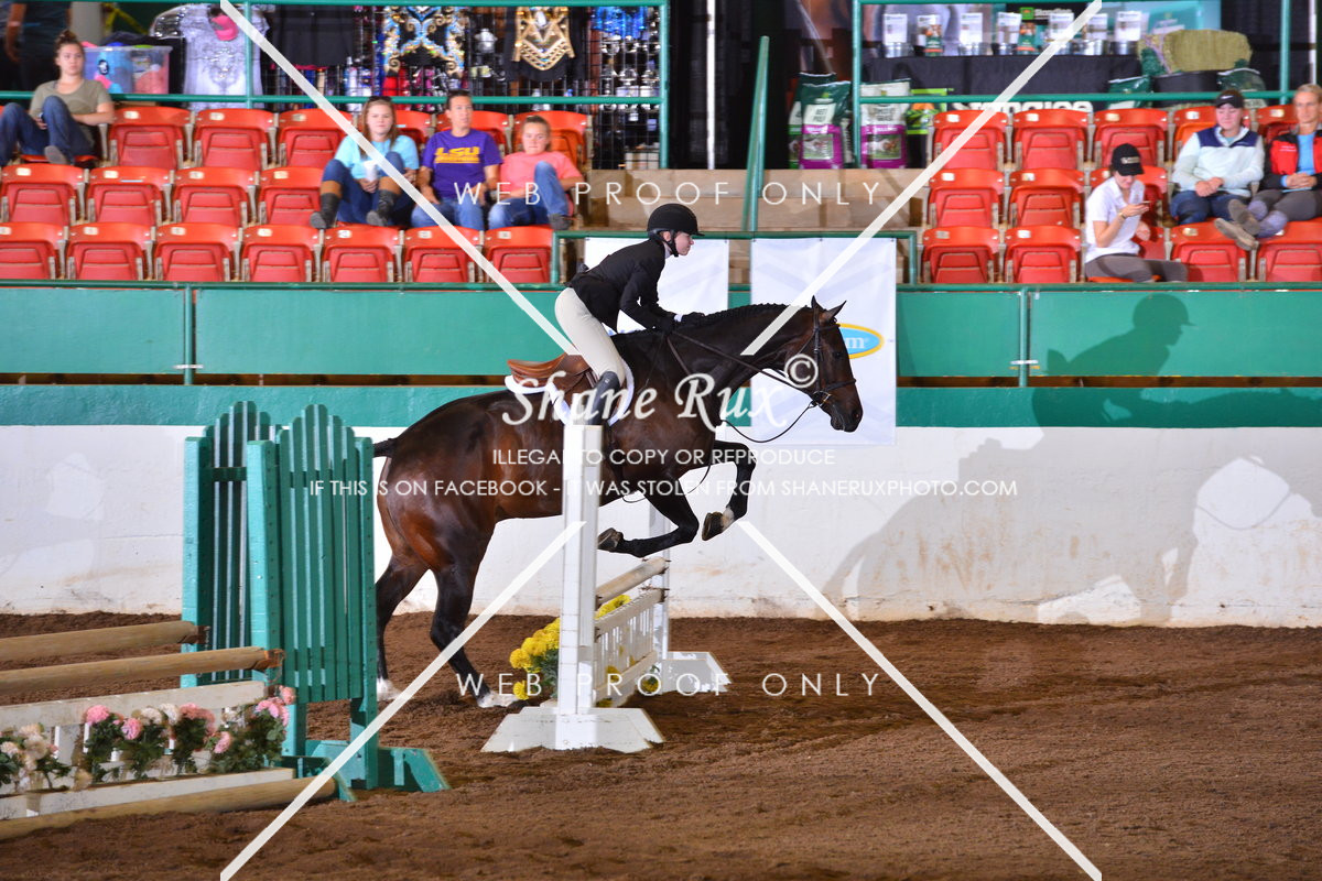 AQHA Level 1 Championships Eastern 2017 - Proofs - http://www ...