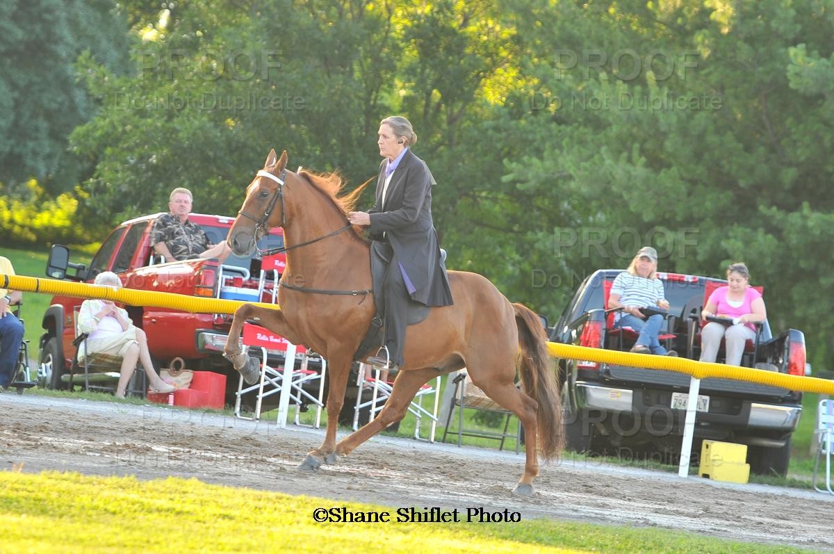 2014 Walking For Angels - Horse Show Proofs - 2014 Proofs - Shane ...
