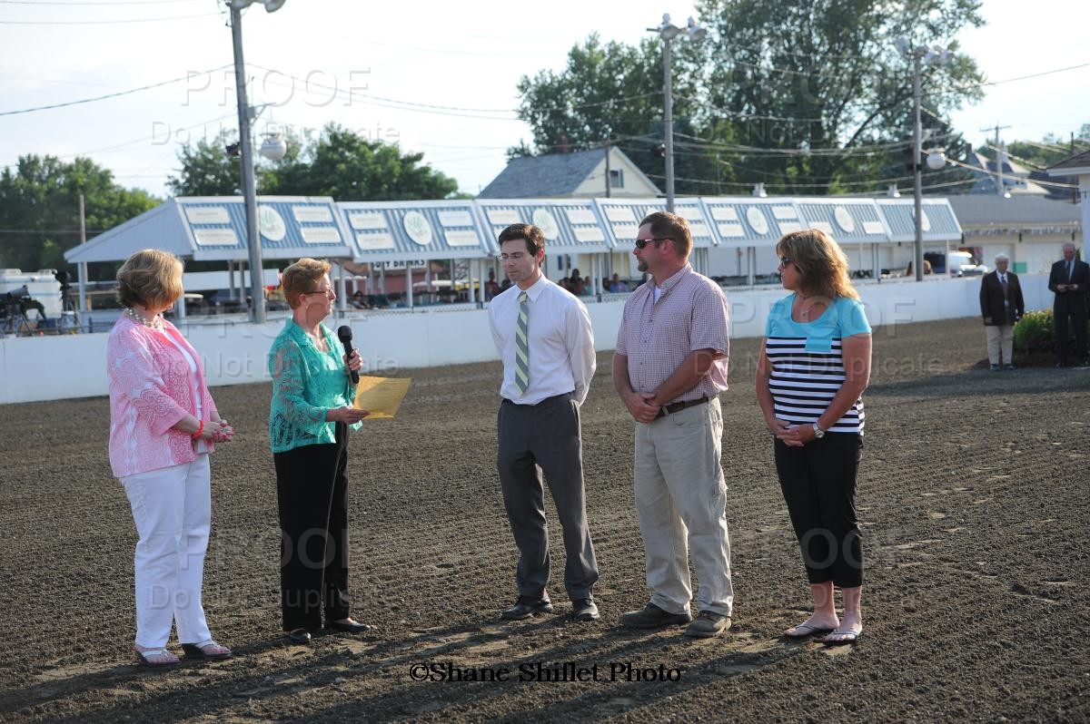 2014 New England Morgan - Horse Show Proofs - 2014 Proofs - Shane ...