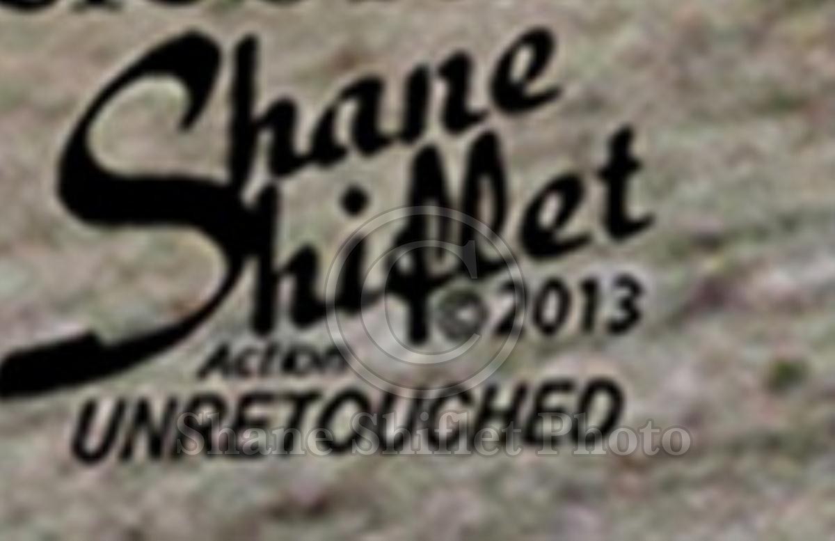 2016 FASH Spring Show - Horse Show Proofs - 2016 Proofs - Shane Shiflet ...