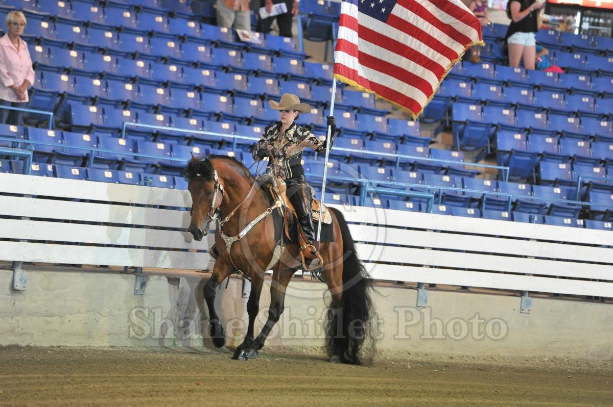 2016 Fun Show - Horse Show Proofs - 2016 Proofs - Shane Shiflet Photography