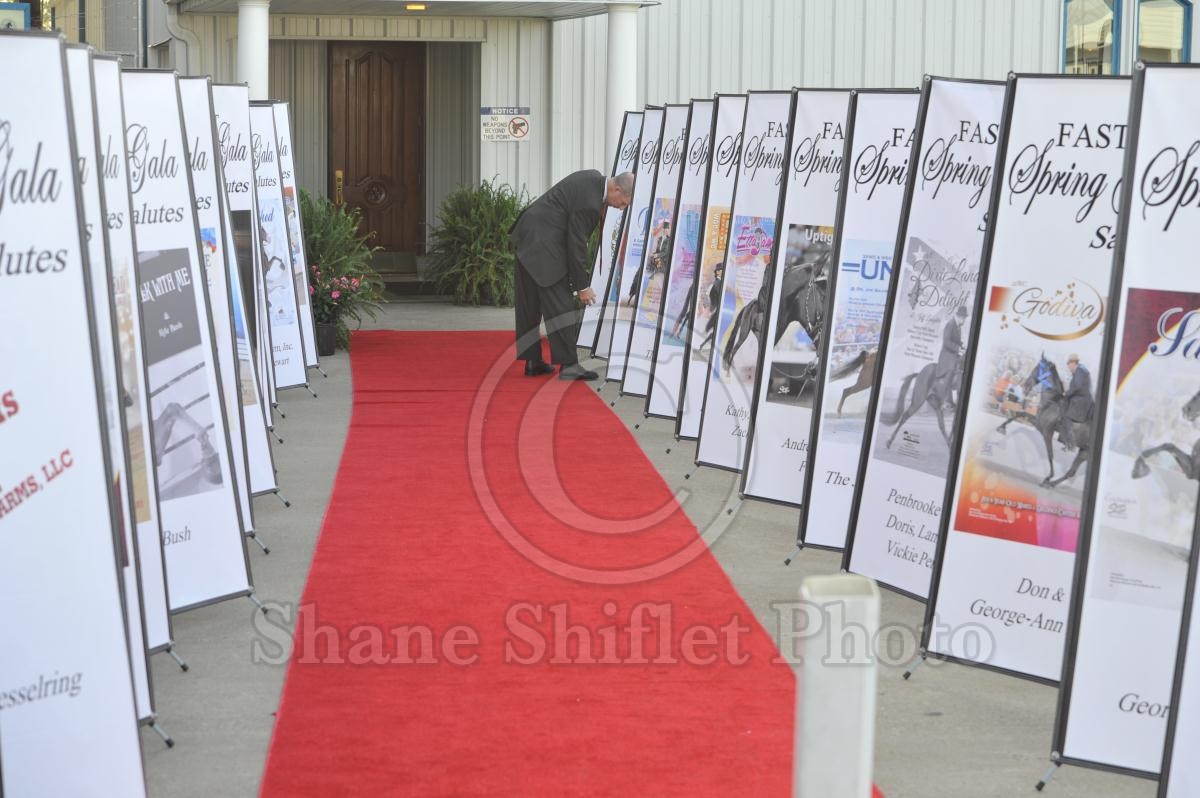 2017 FAST Spring Show - Horse Show Proofs - 2017 Proofs - Shane Shiflet ...