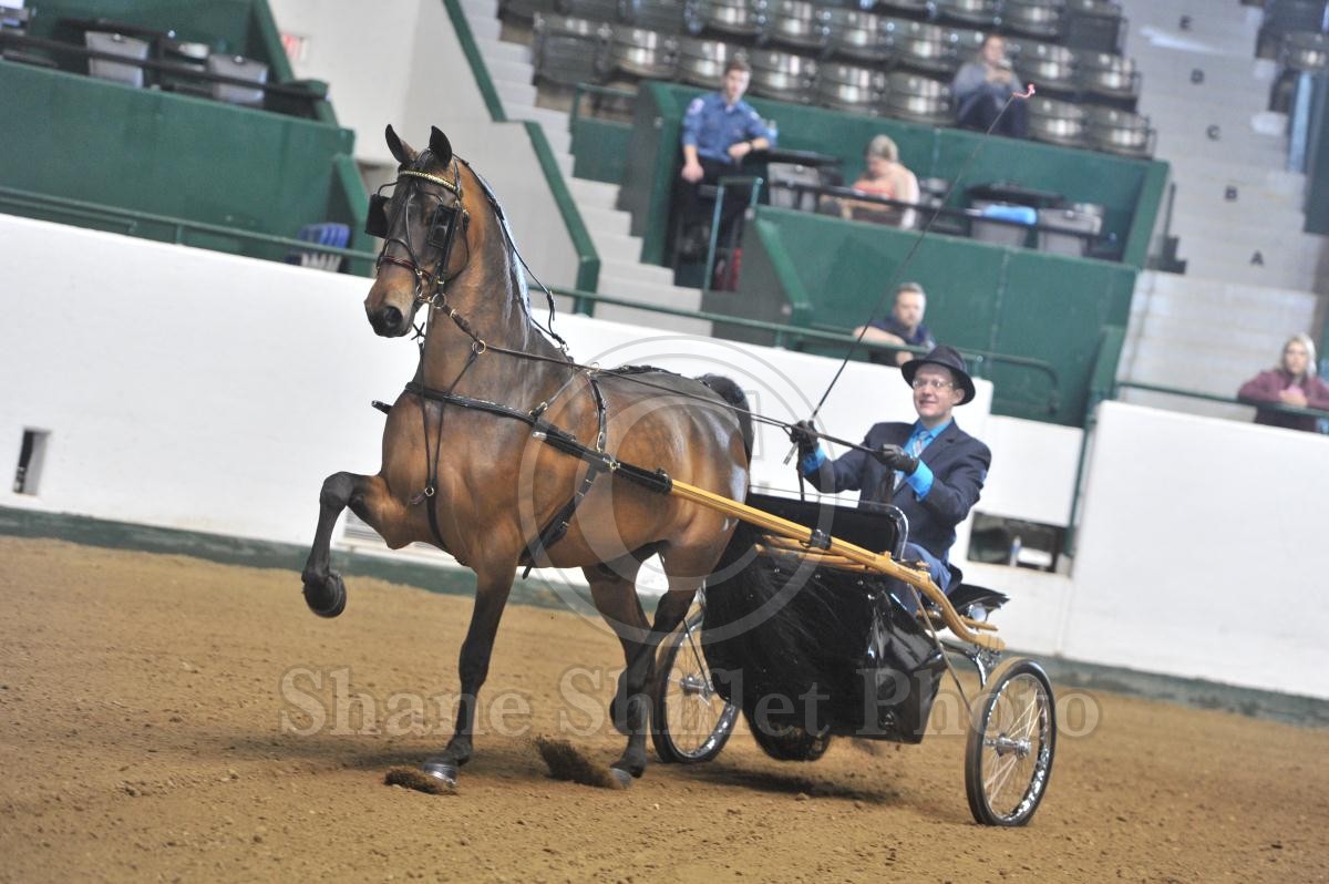 2017 FASH Spring Show - Horse Show Proofs - 2017 Proofs - Shane Shiflet ...