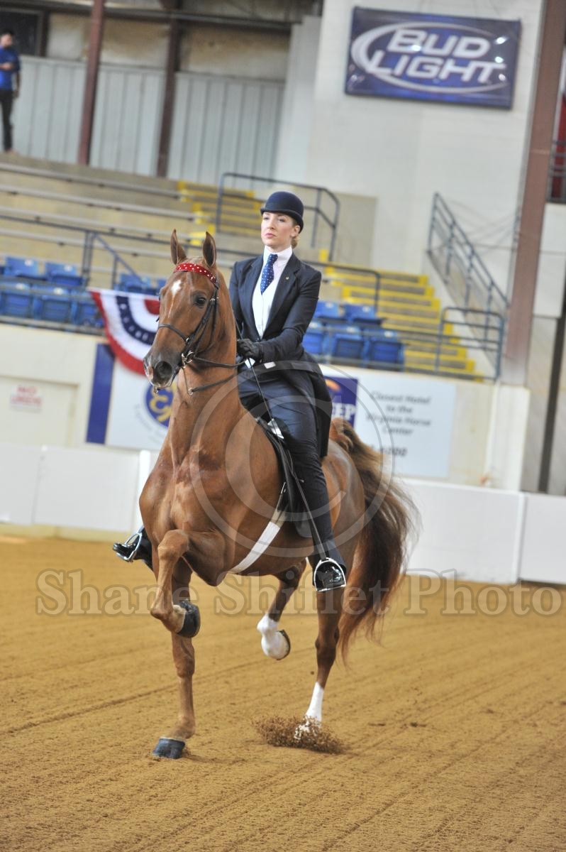 2017 ASHAV - Horse Show Proofs - 2017 Proofs - Shane Shiflet Photography