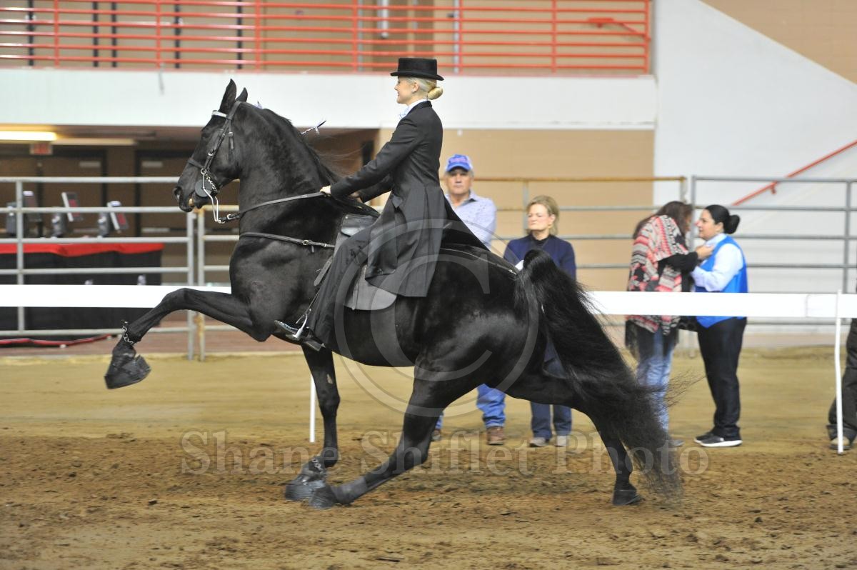 2017 Tunica Fall Classic - Horse Show Proofs - 2017 Proofs - Shane ...