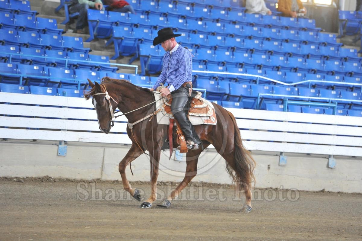 2017 Walking With The Angels - Horse Show Proofs - 2017 Proofs - Shane ...