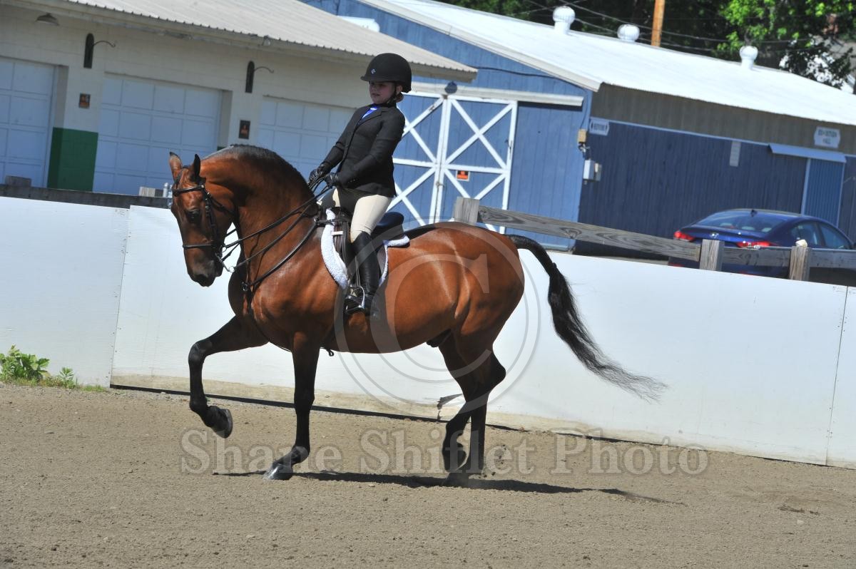 2018 Summer kickoff Northampton - Horse Show Proofs - 2018 Proofs ...