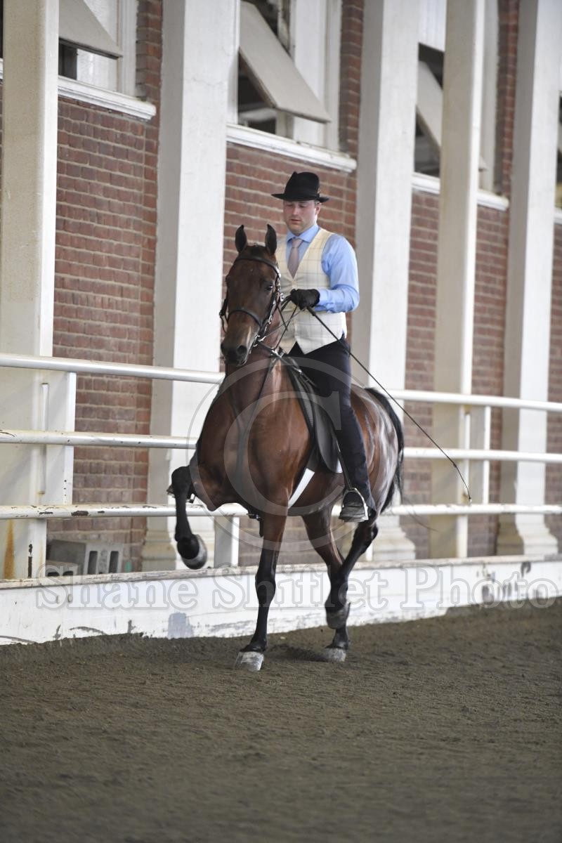 2018 Big E Horse Show - Horse Show Proofs - 2018 Proofs - Shane Shiflet ...