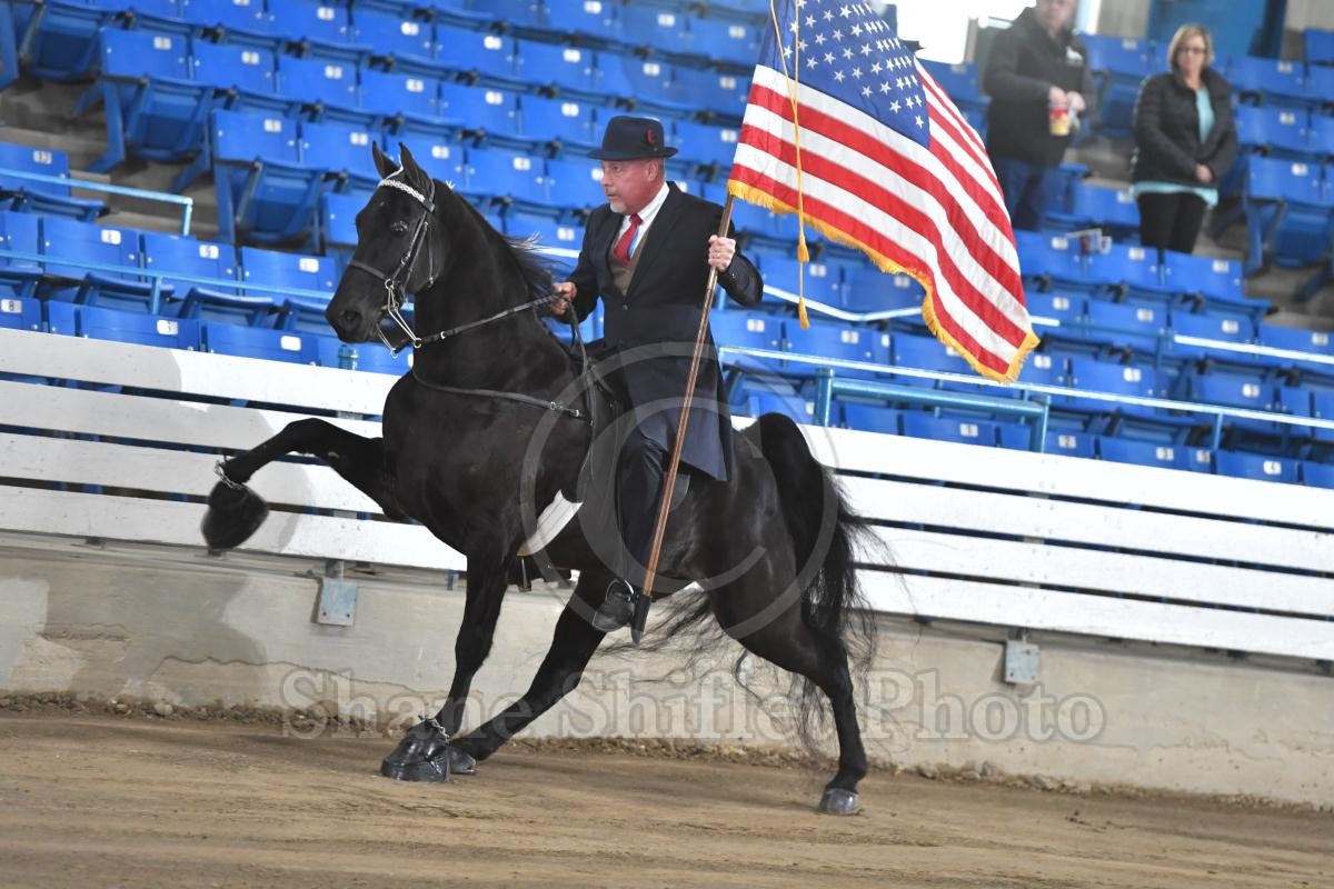 2019 Walking Horse Trainers' Show - Horse Show Proofs - 2019 Proofs ...