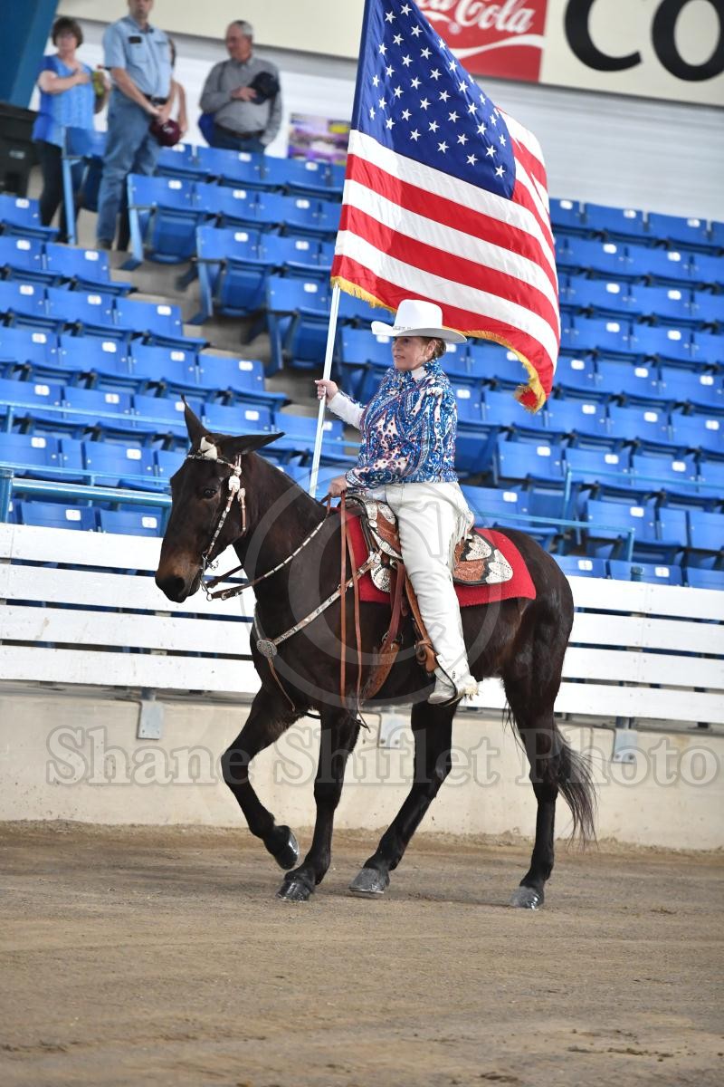 2019 FAST Spring Showcase - Horse Show Proofs - 2019 Proofs - Shane ...