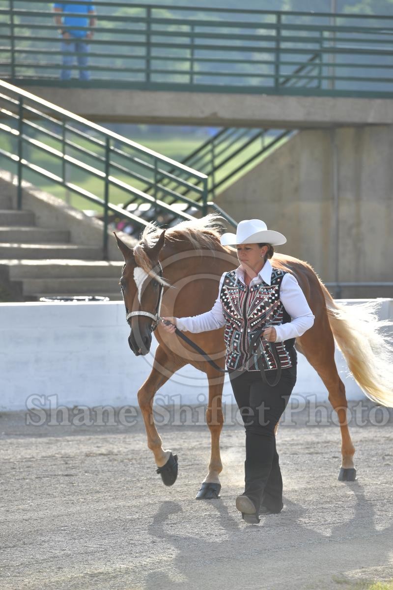 2019 Columbia Spring Jubilee - Candids - Horse Show Proofs - 2019 ...