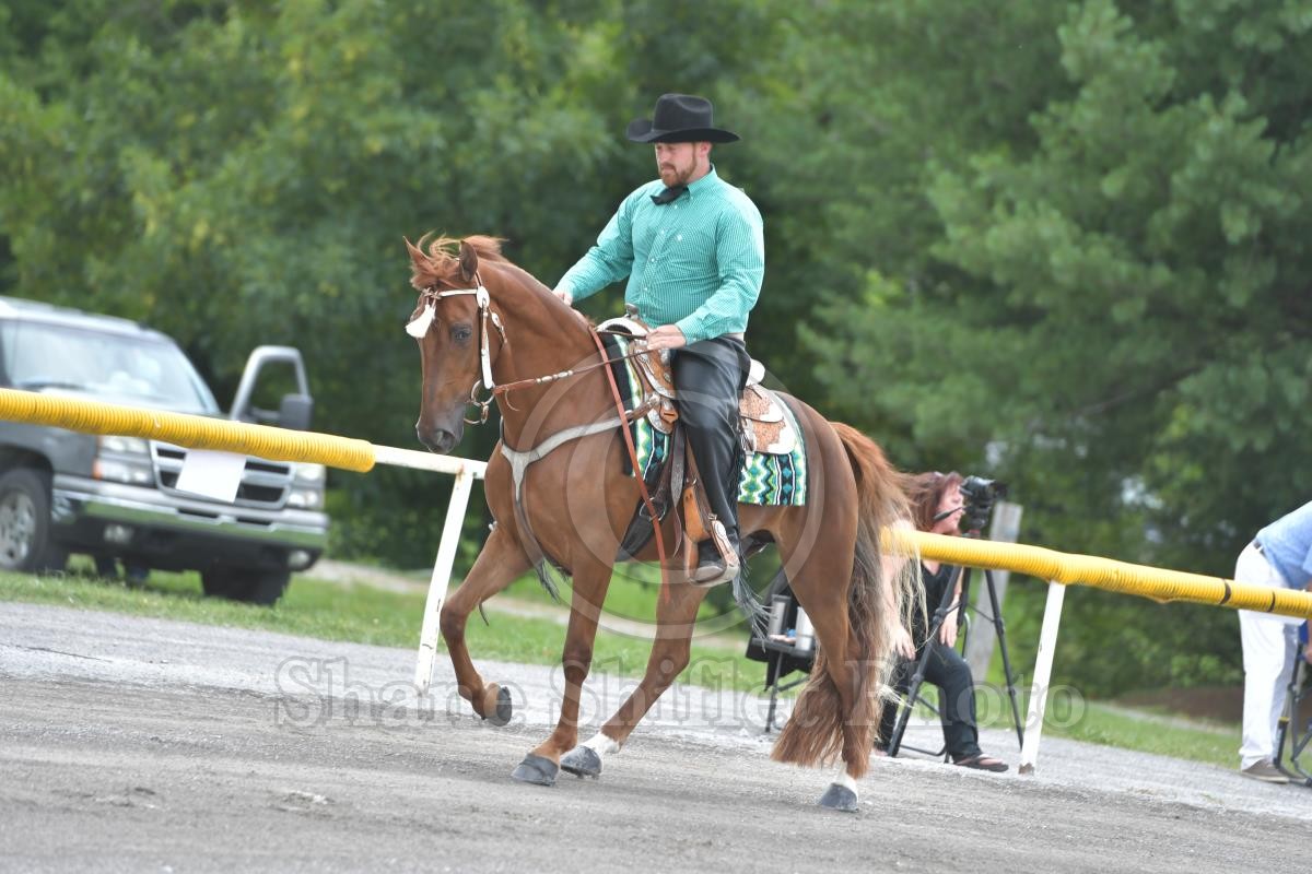2019 Christmas In July - Horse Show Proofs - 2019 Proofs - Shane ...