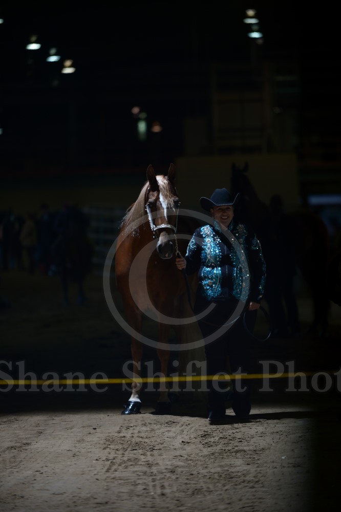 2019 Tunica Fall Classic - Exhibitions - Horse Show Proofs - 2019 ...