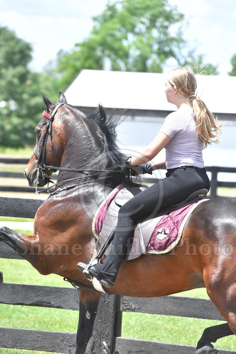 2020 Grove Pointe Stables - Photo Shoots - Shane Shiflet Photography