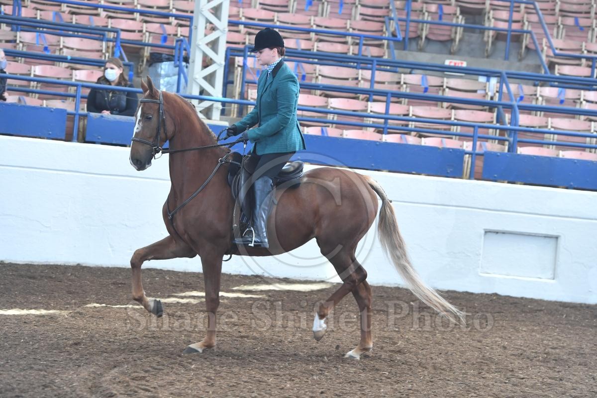 2020 Monarch National Championship - Horse Show Proofs - 2020 Proofs ...
