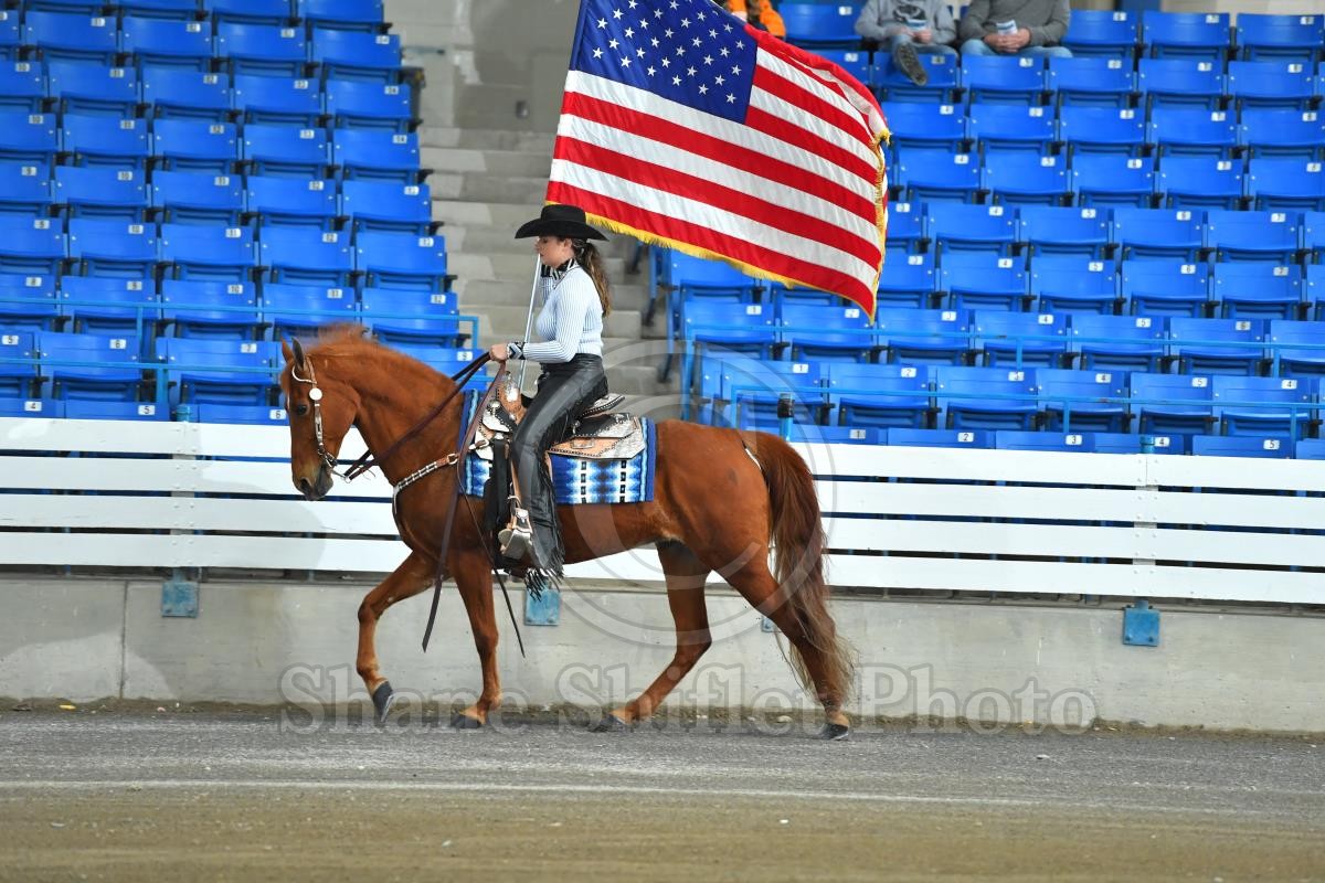 2021 WHTA National Show - Horse Show Proofs - 2021 Proofs - Shane ...