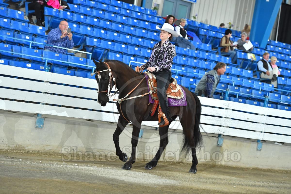 2021 FAST Spring Showcase - Horse Show Proofs - 2021 Proofs - Shane ...