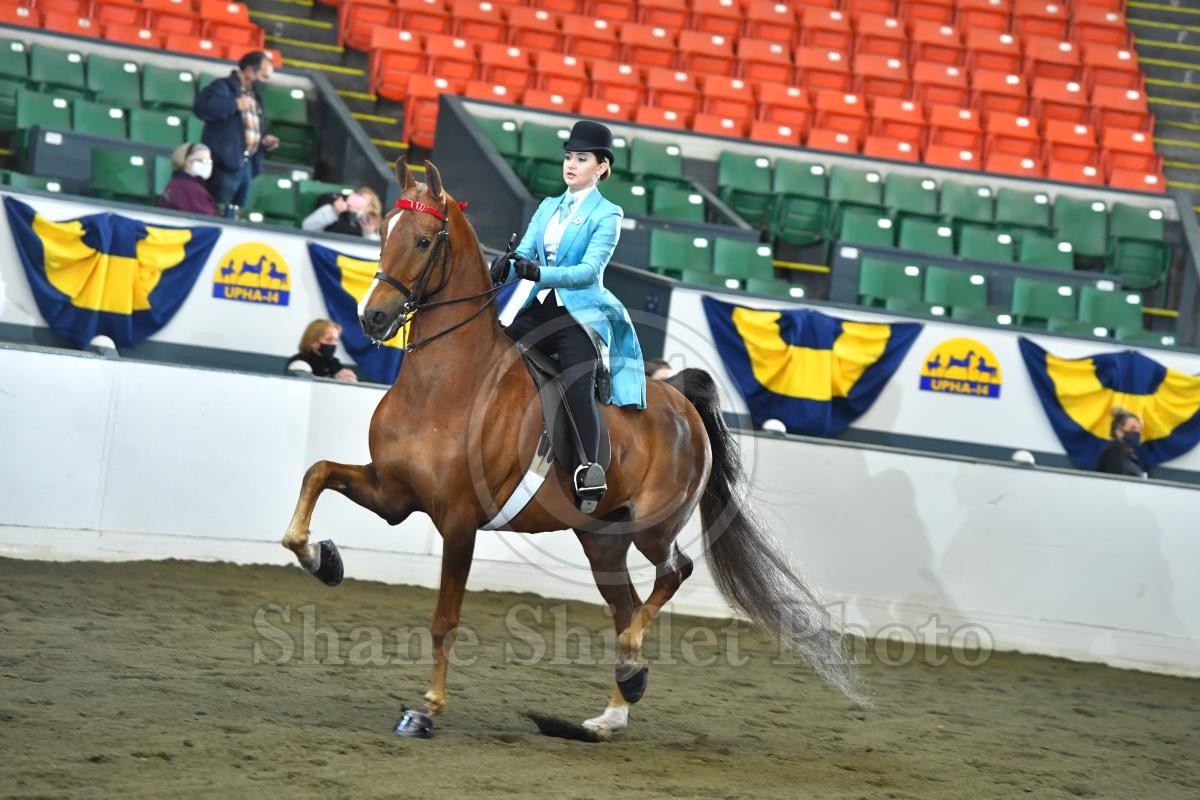 2021 UPHA Spring Premier Chapter 14 - Horse Show Proofs - 2021 Proofs ...