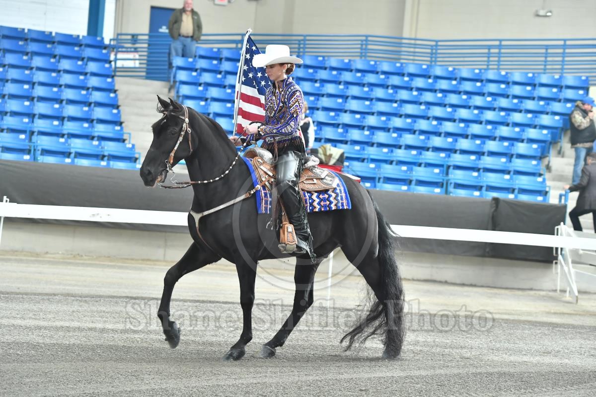 2021 Celebration Fall Classic - Horse Show Proofs - 2021 Proofs - Shane ...