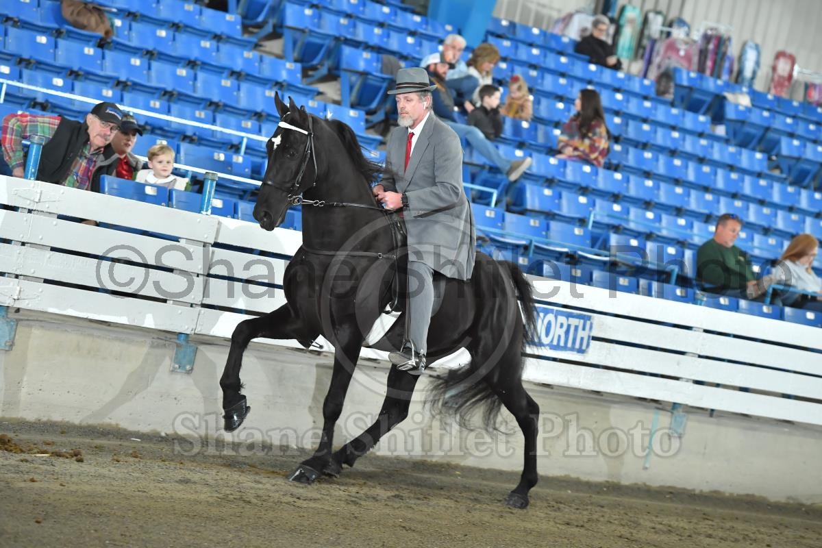 2021 FAST Fall Showcase - Horse Show Proofs - 2021 Proofs - Shane ...