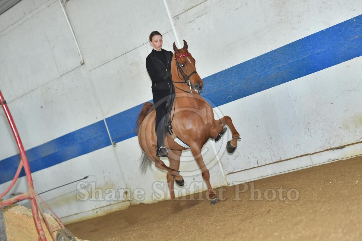 HONAKER - Photo Shoots - Shane Shiflet Photography