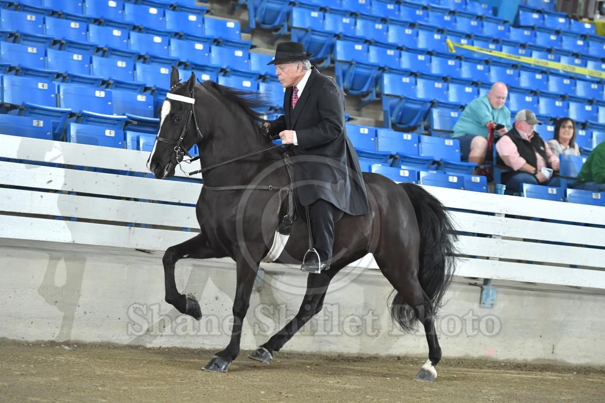 2022 FAST Spring Showcase - Horse Show Proofs - 2022 Proofs - Shane ...