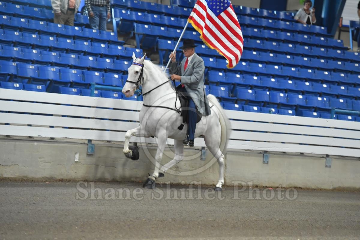 2022 Spring Fun Show - Horse Show Proofs - 2022 Proofs - Shane Shiflet ...